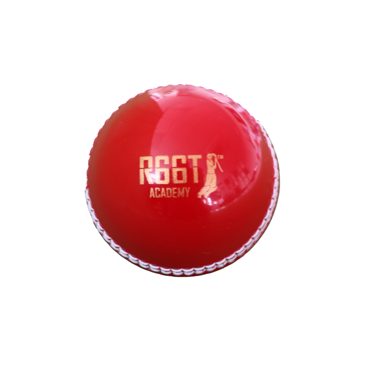 R66T Academy Cricket Skill Ball – The R66T Academy
